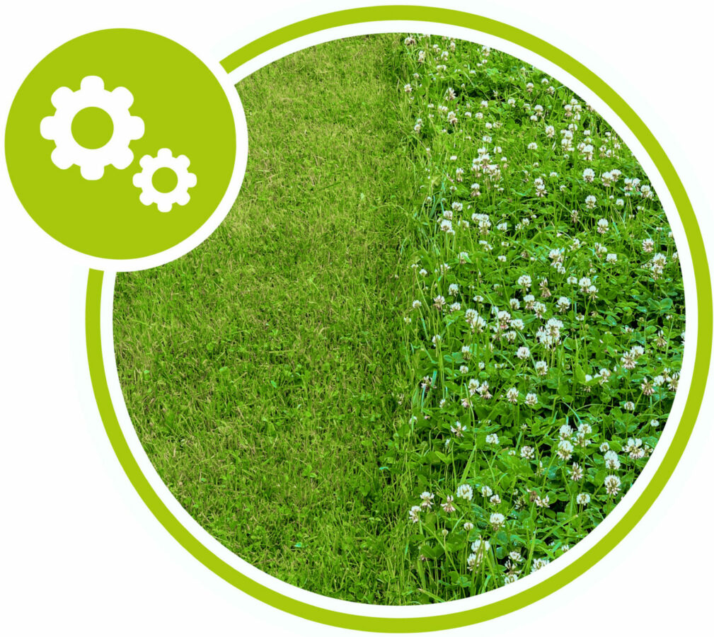 Comment valoriser les tontes du jardin ? - Pays du Clermontois